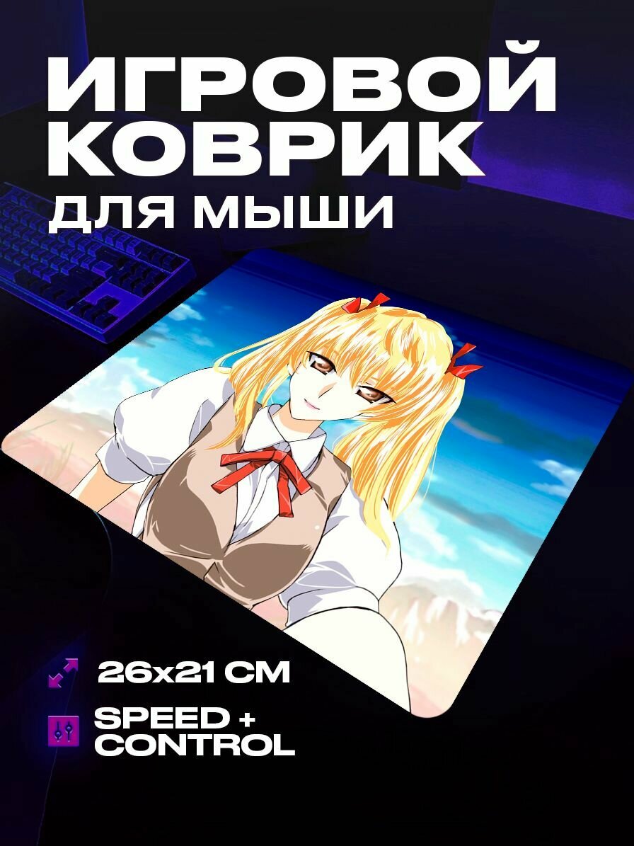 Коврик для мыши игровой School rumble 26x21 см ProSleeves