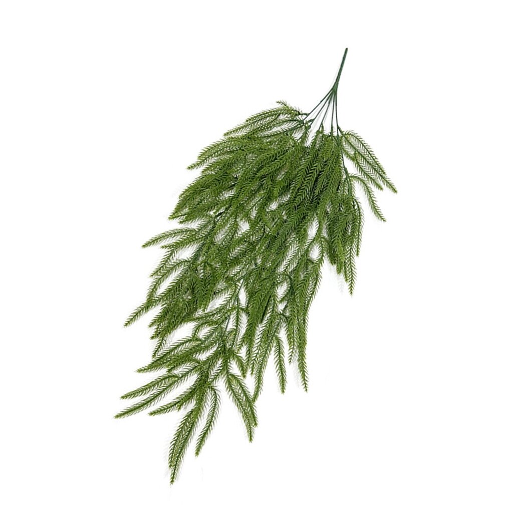 Имитация зеленых растений, хвоя норфолкской сосны, гирлянды на стенах, зеленые виноградные лозы, композиционные украшения- Норфолкская сосновая игла висит на стене