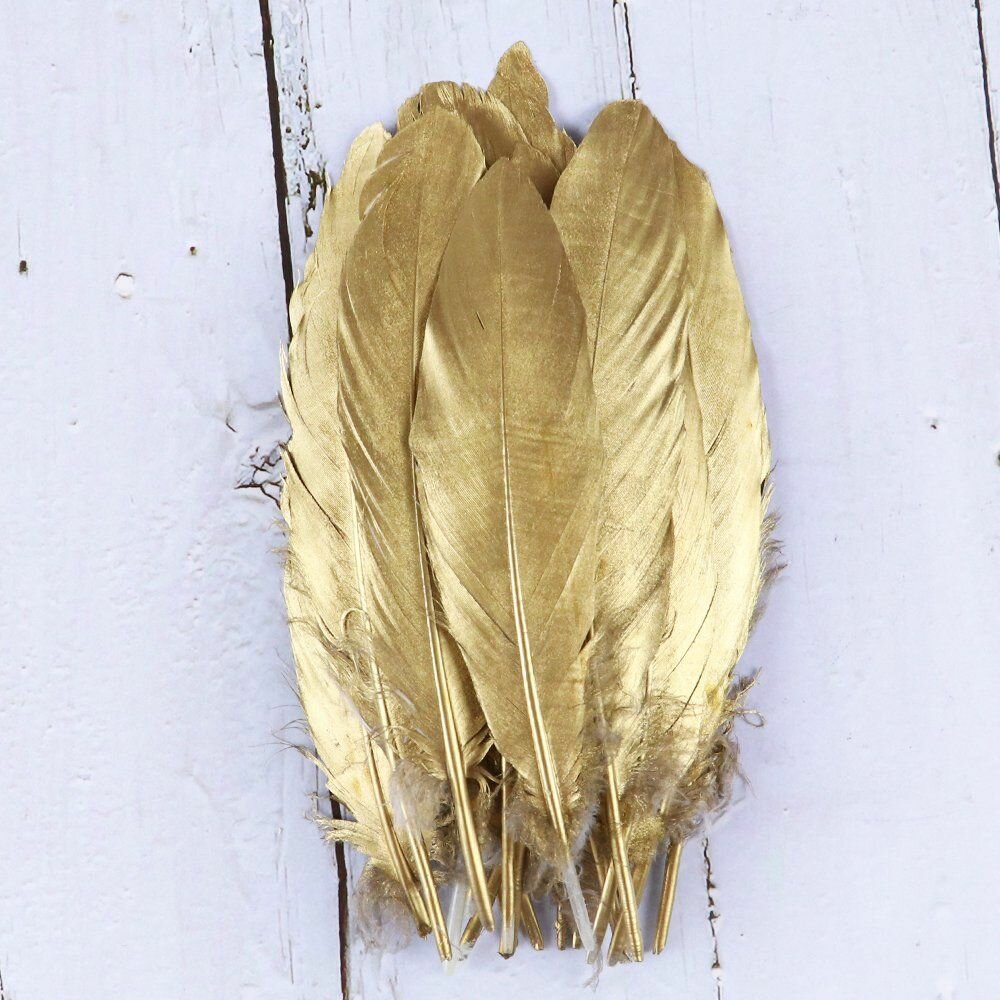 10 гусиных перьев, золотых или серебряных