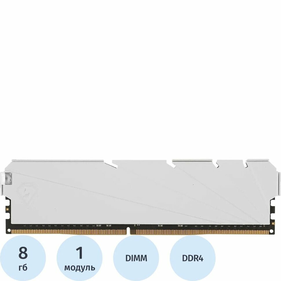 Модуль памяти Netac Shadow S 8GB DDR4 DIMM 3200Мгц (NTSSD4P32SP-08W), 2267049