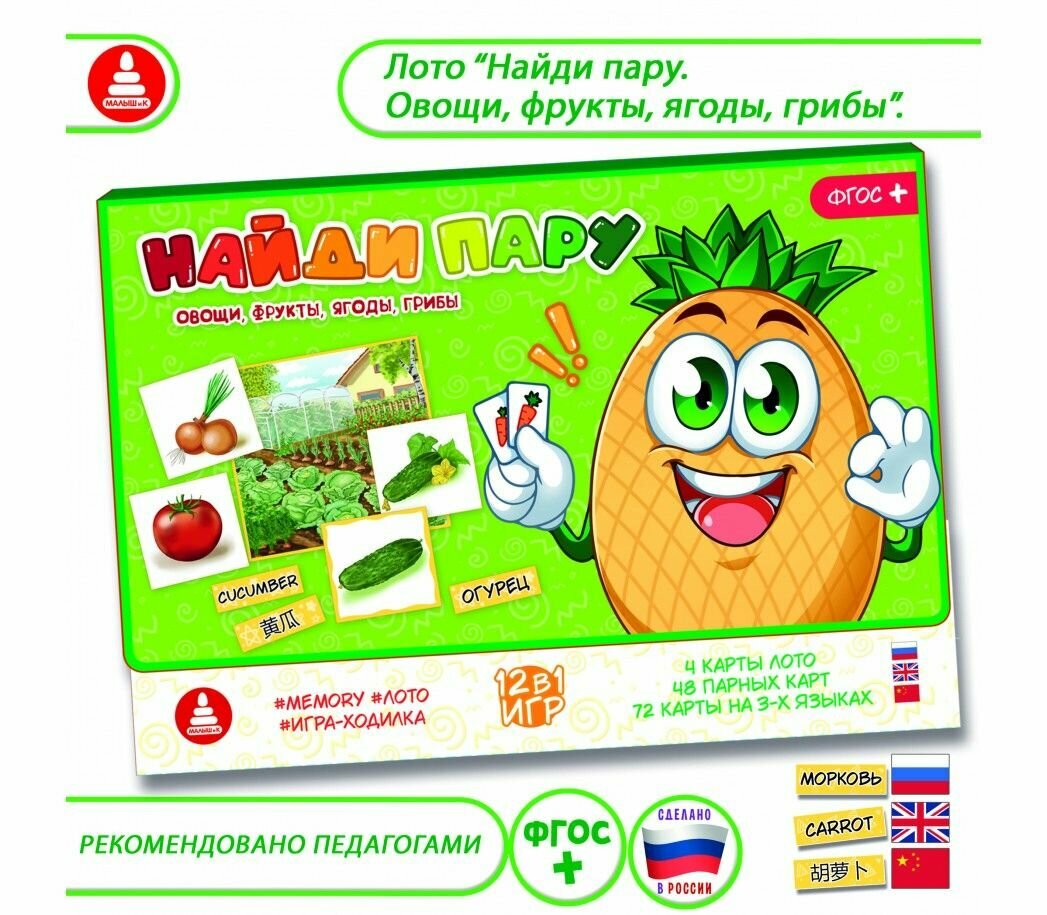 Настольная игра "Найди пару. Овощи, фрукты, ягоды, грибы" (русский, английский, китайский язык). Развивающие игры