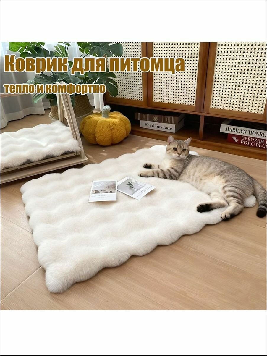 Толстый плюшевый коврик для домашних животных для кошек и собак, бежевый,30*40cm