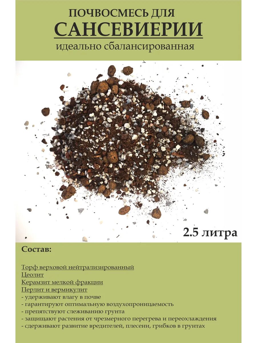 Грунт для сансевиерии