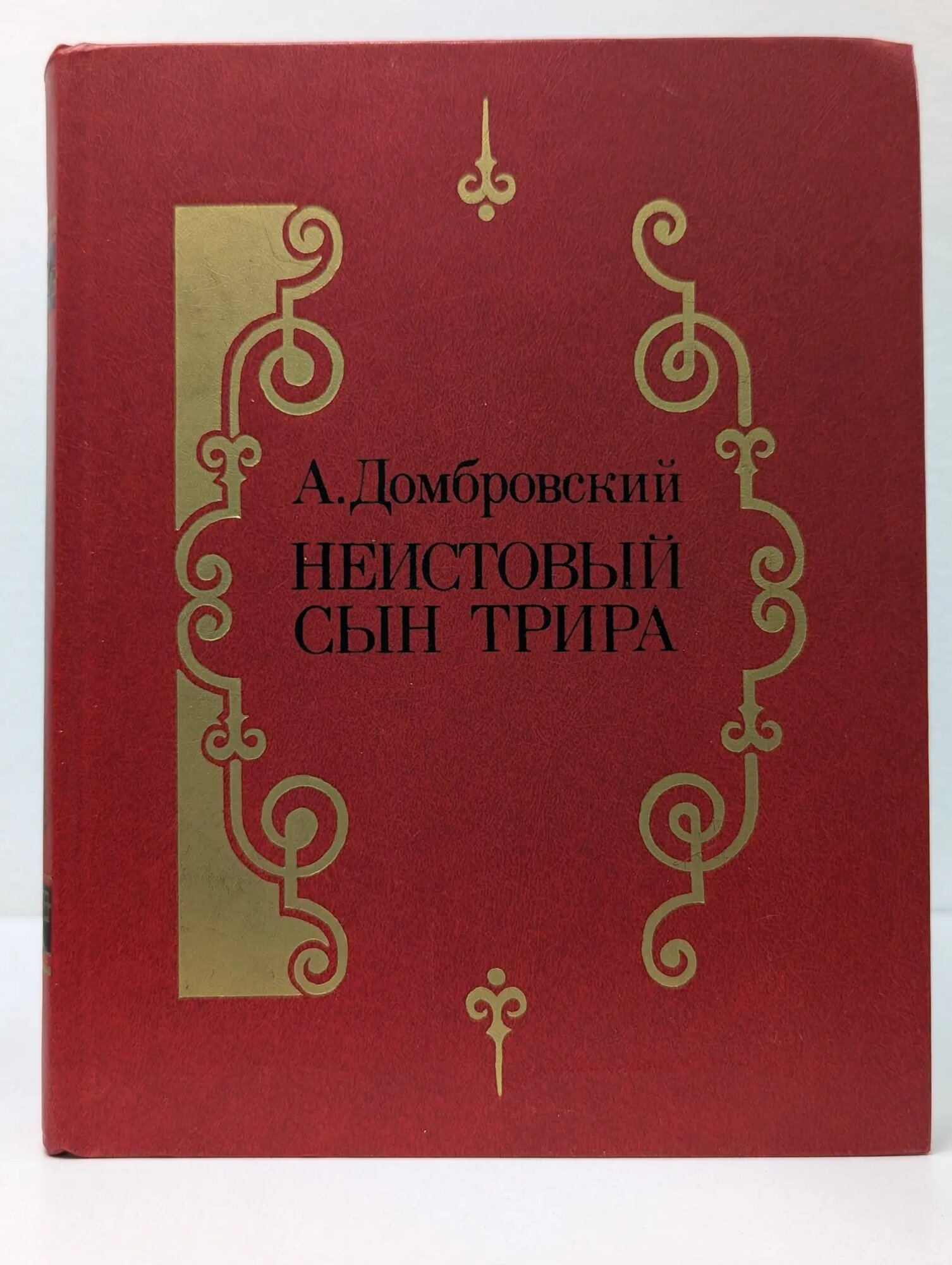 Неистовый сын Трира Домбровский Анатолий Иванович 1988