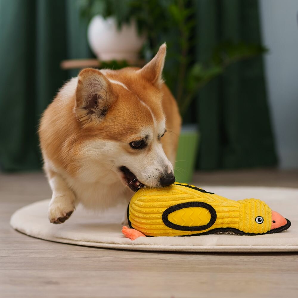 RURRI Игрушка для собак Утка, 36х13х9 см