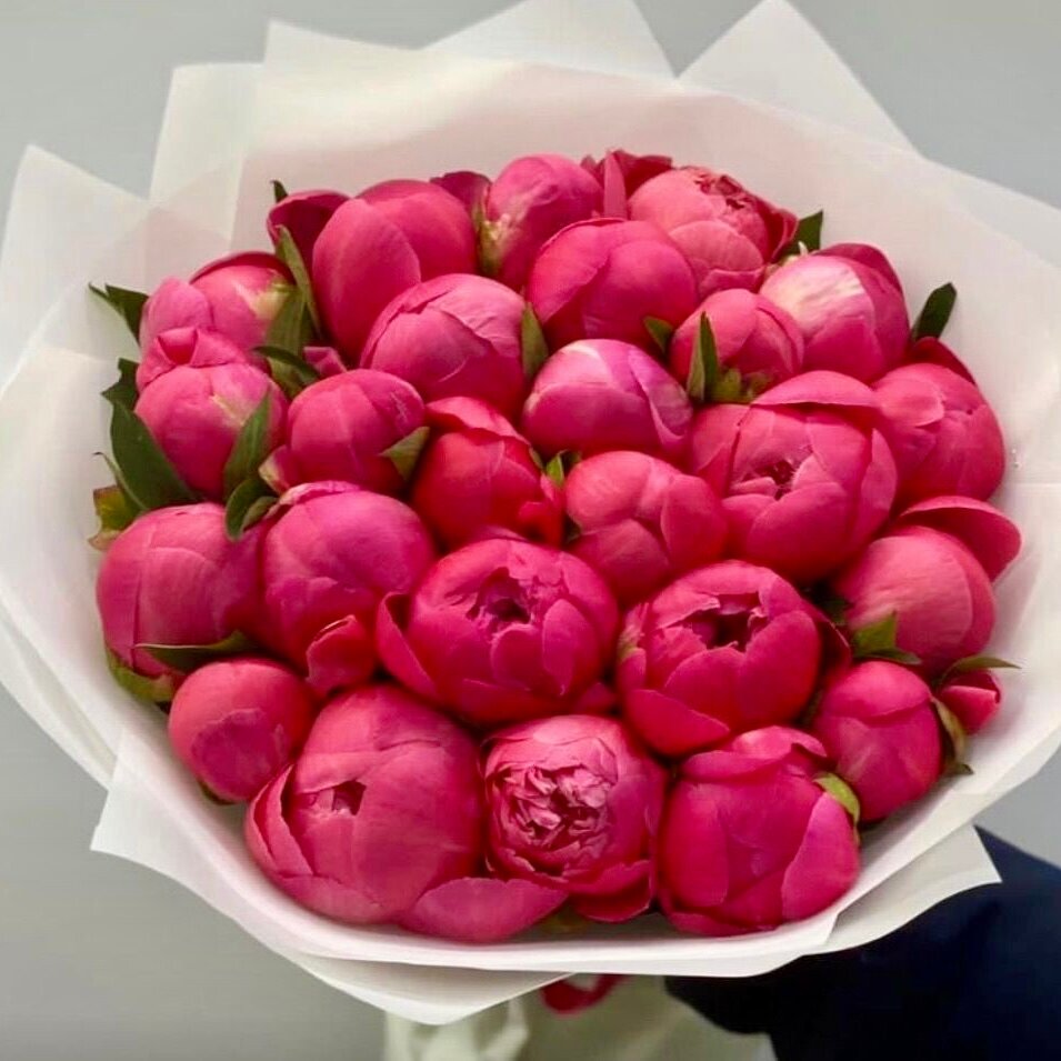 Букет из коралловых пионов 25 шт, красивый букет цветов, шикарный, премиум цветы, премиум букет