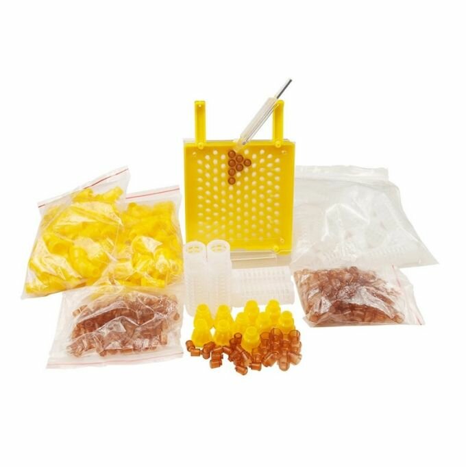 Джентерский сот