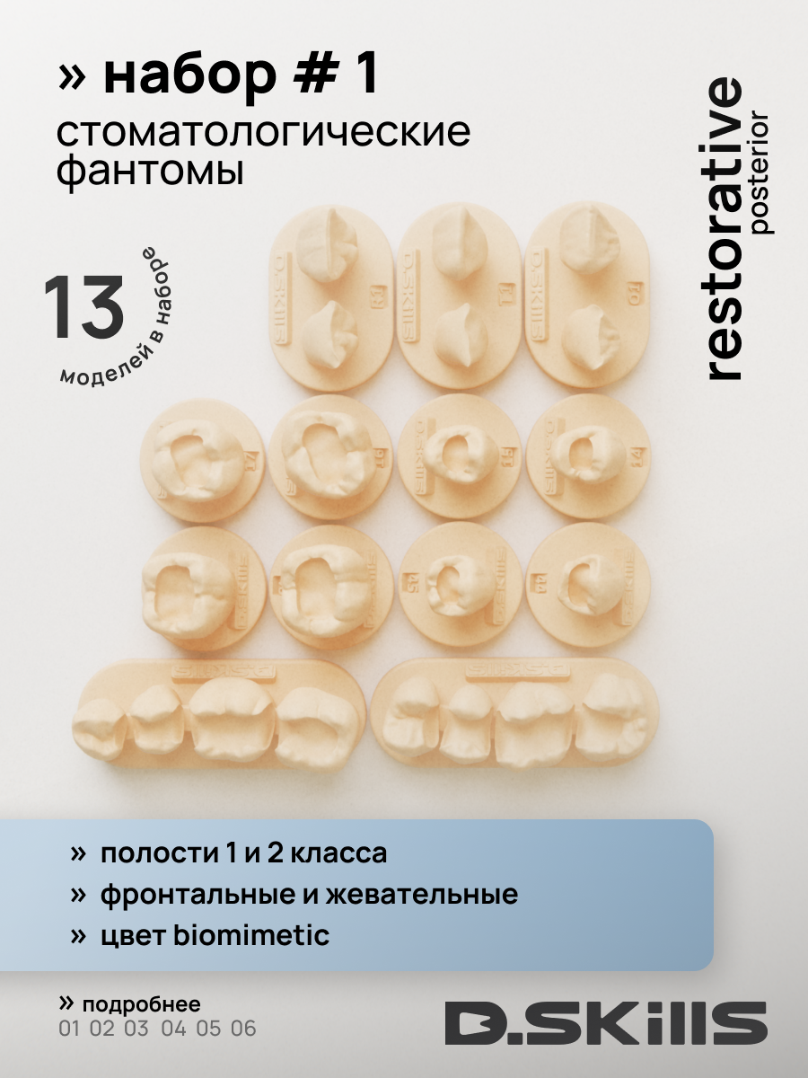 SET #1 Модели зубов для реставрации