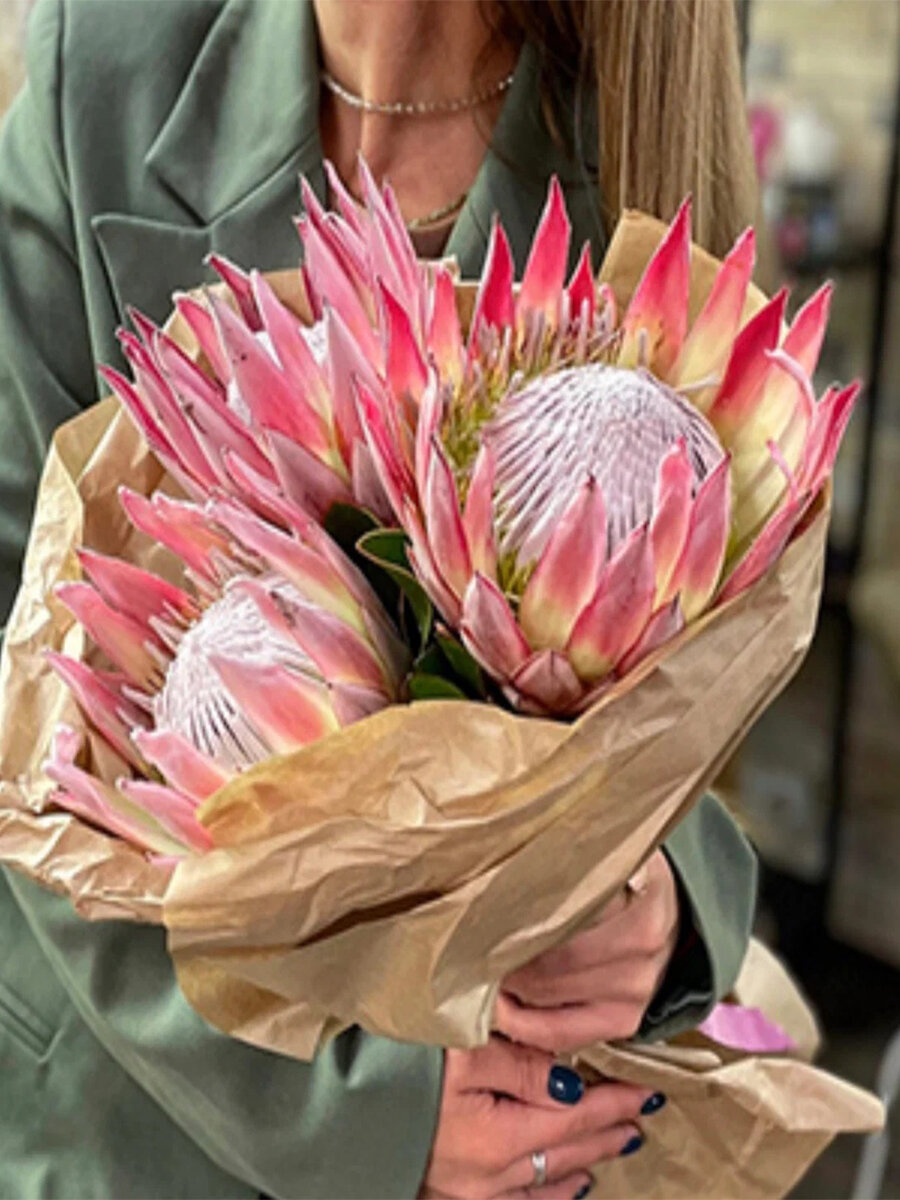 Букет живых цветов N1flor из 3 протей, в крафтовой упаковке, высота 40 см.