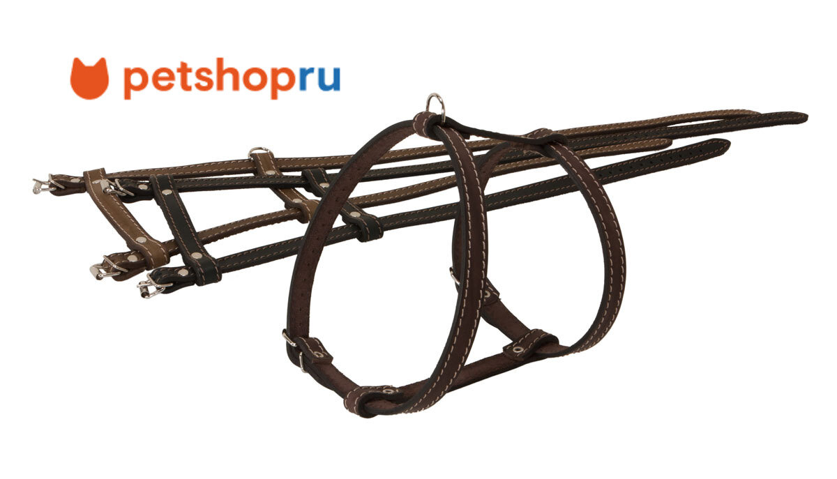 Yami Yami амуниция Шлейка кожаная для собак