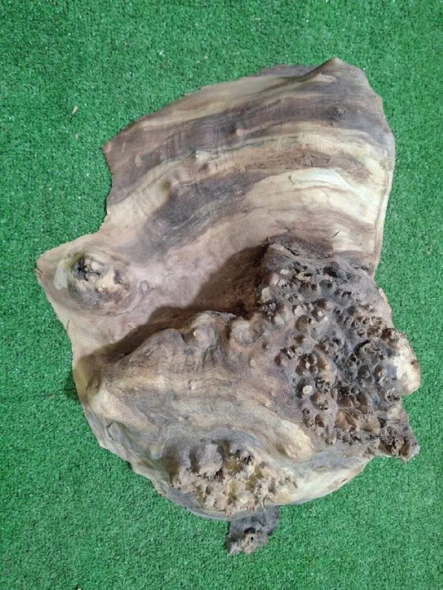 Заготовка для творчества тополь (550-320-170 мм)