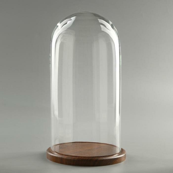 Стеклянный купол-клош на деревянной подставке 'Венсан - 1', 30х15 см, коричневый