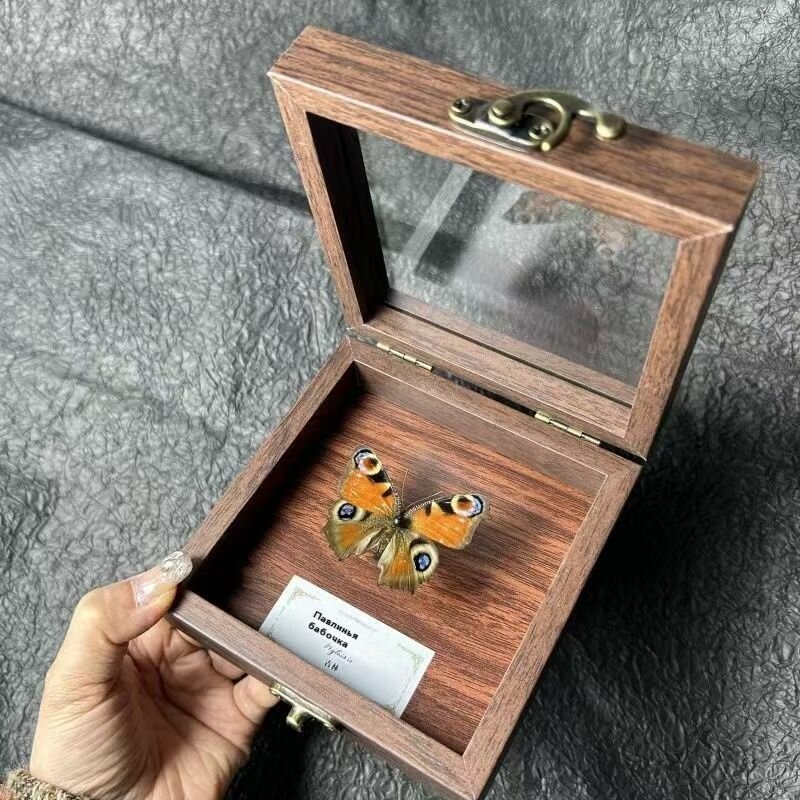 GEALFIS настоящие бабочки в рамке образцы насекомых 3D энтомологическая коллекция декор для дома и офиса