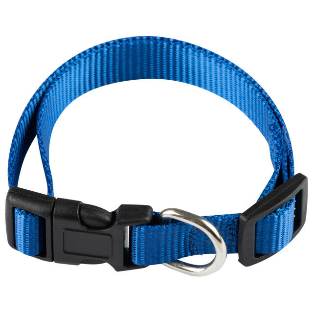 Рыжий КОТ ошейник для животных размер M 33-40 см, ширина 1,5 см, синий, для прогулок