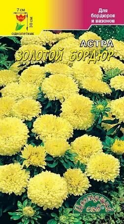 Семена Астра Бордюр Золотой