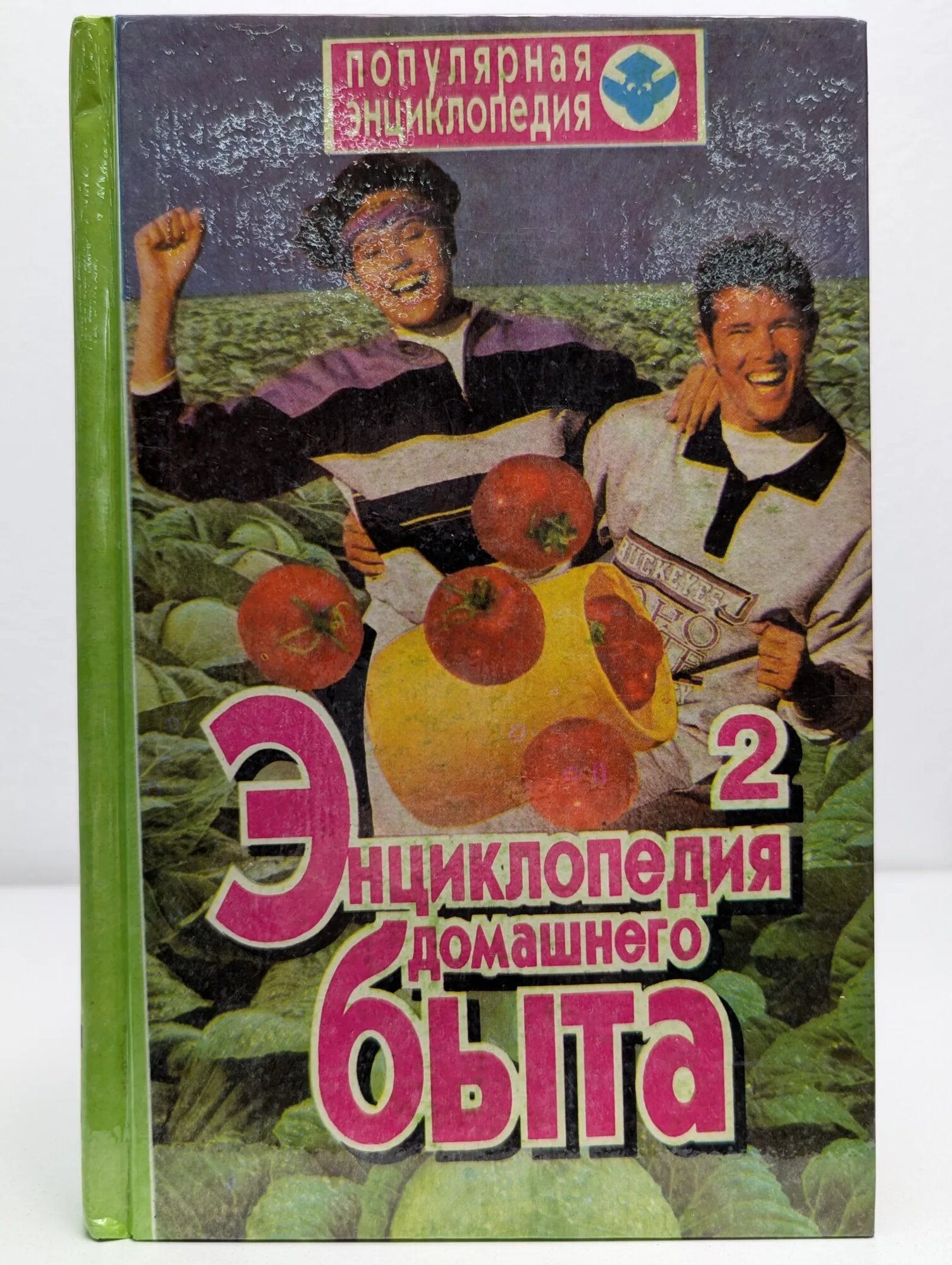 Энциклопедия домашнего быта. В двух томах. Том 2 Кондратьев В. В. (сост.) 1995