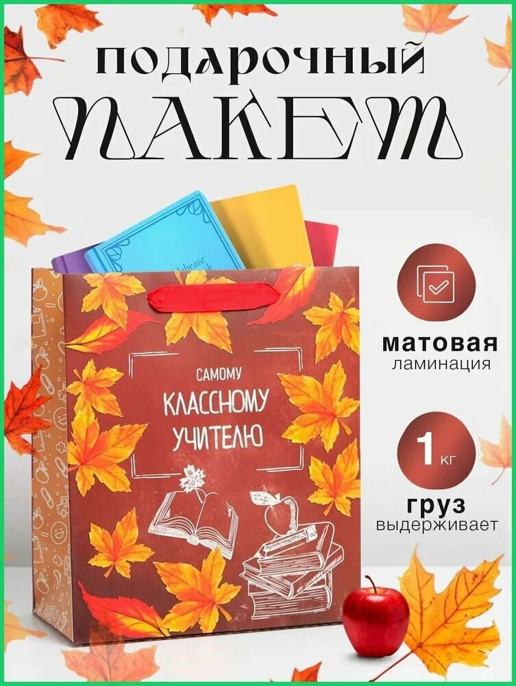 Пакет подарочный 27х23 см, 1 шт.