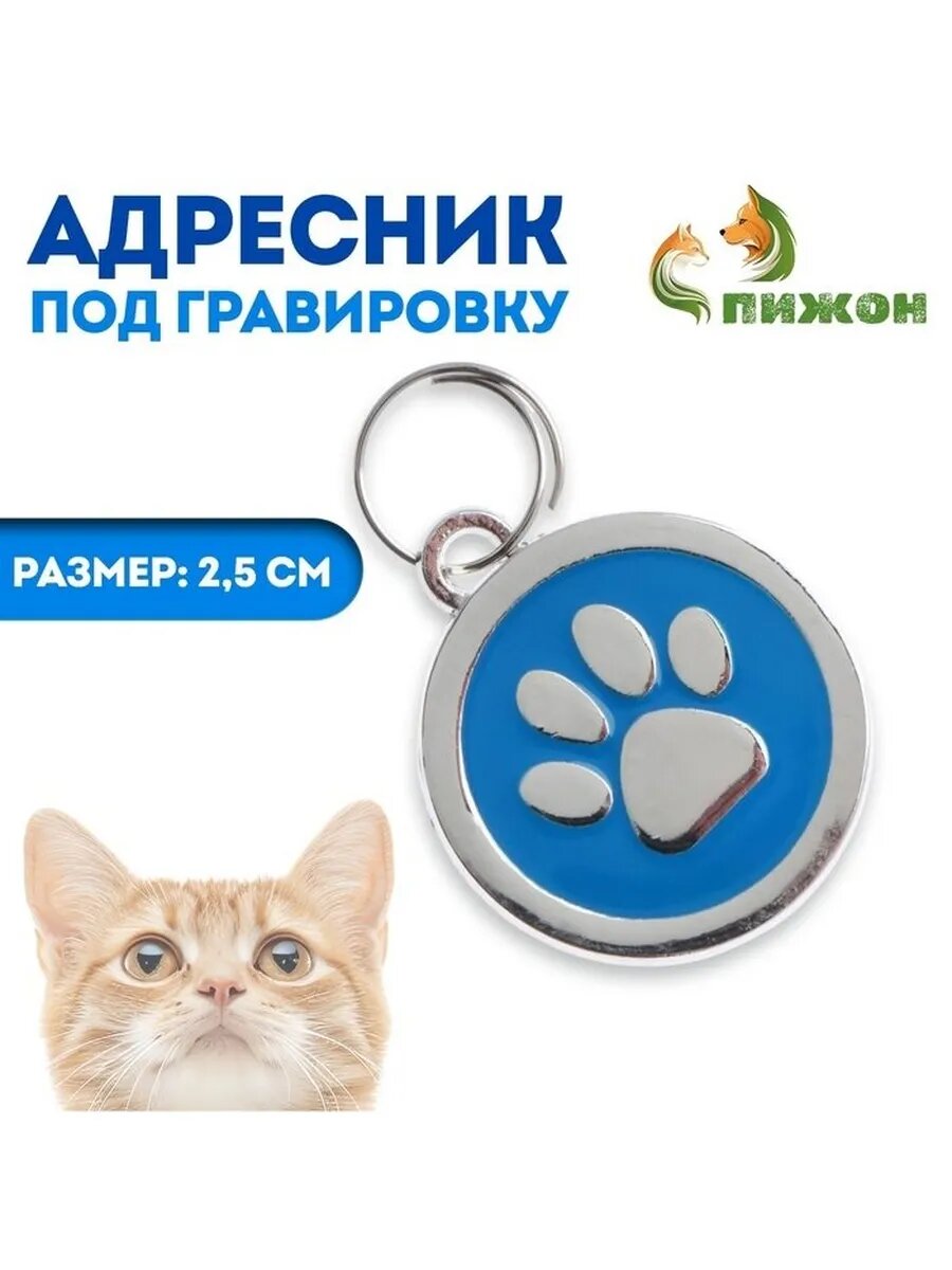 Адресник под гравировку "Лапа", 2,5 см, голубой