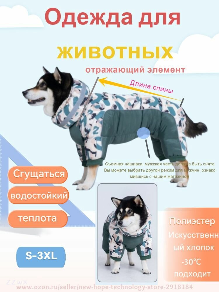 Одежда для животных