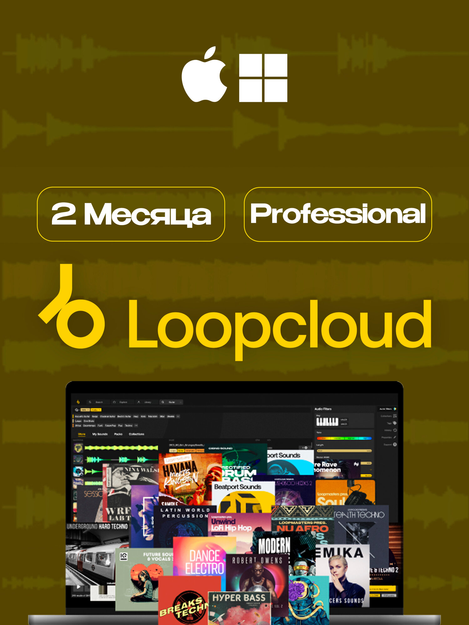 Подписка Loopcloud Professional на 2 месяца, 1200 кредитов (Windows & macOS)