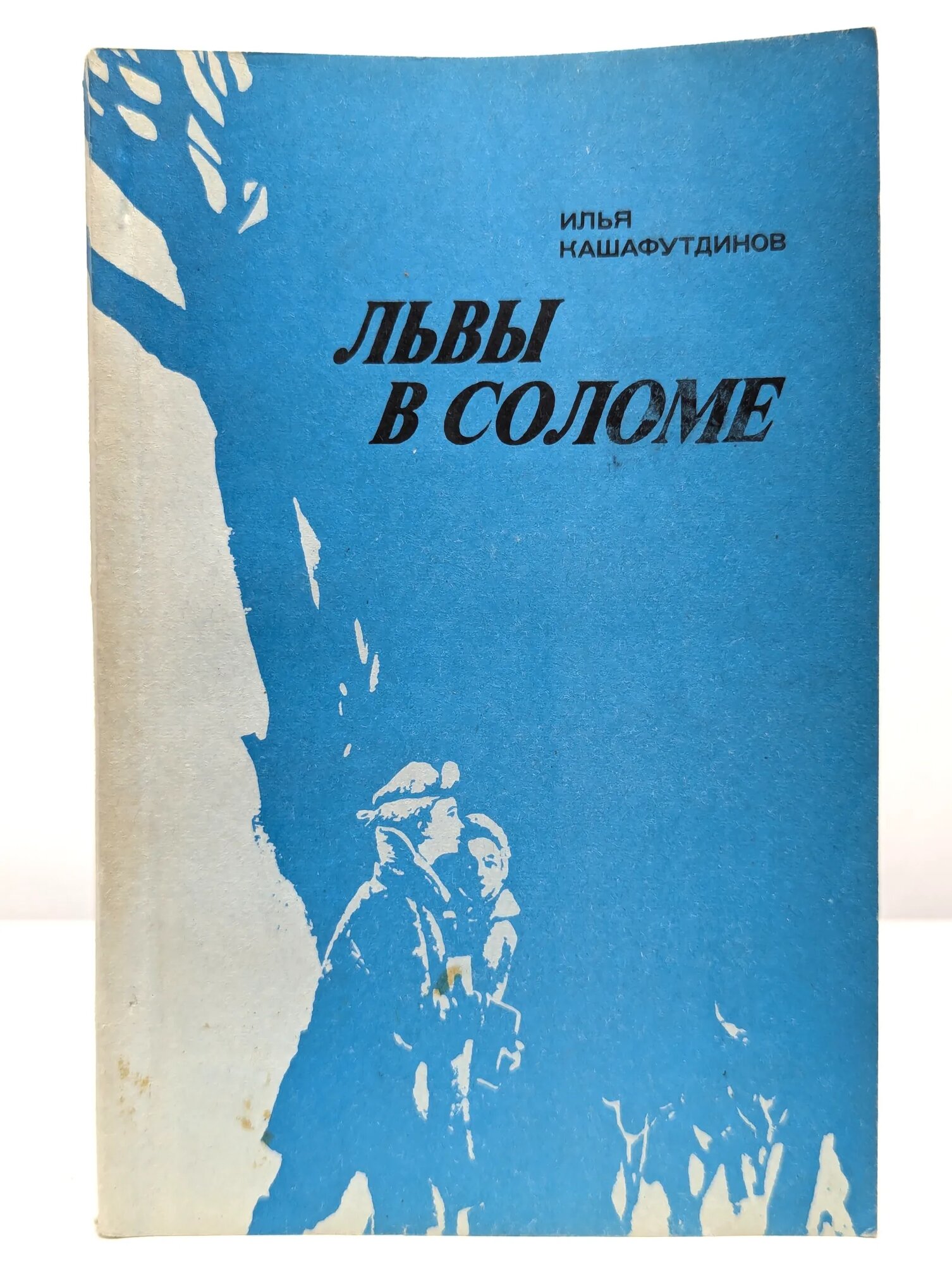 Львы в соломе Кашафутдинов Ильгиз Бариевич 1983