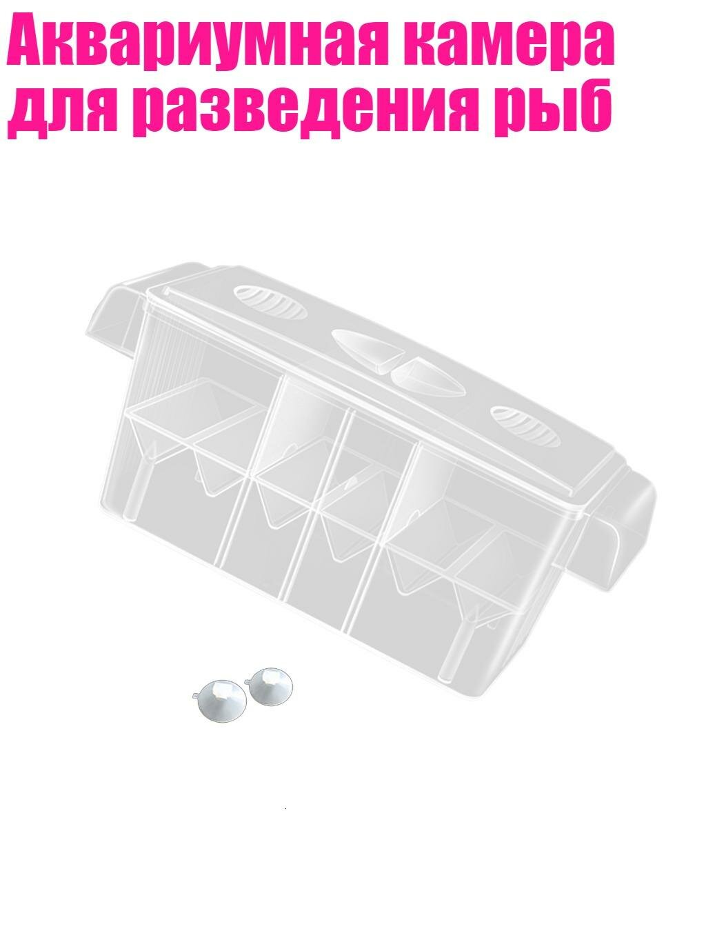 Аквариумная камера для разведения рыб, Три спальни