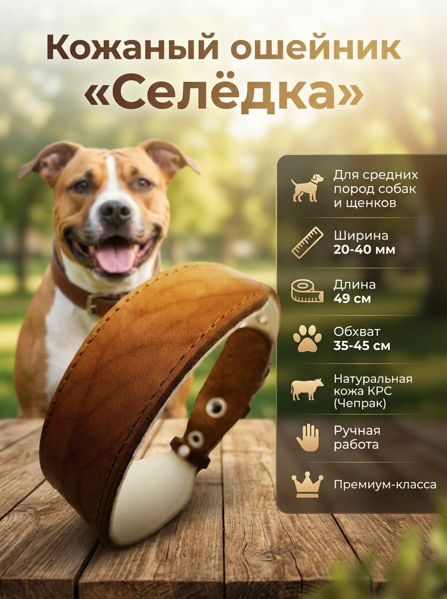 Кожаный ошейник "Селёдка"