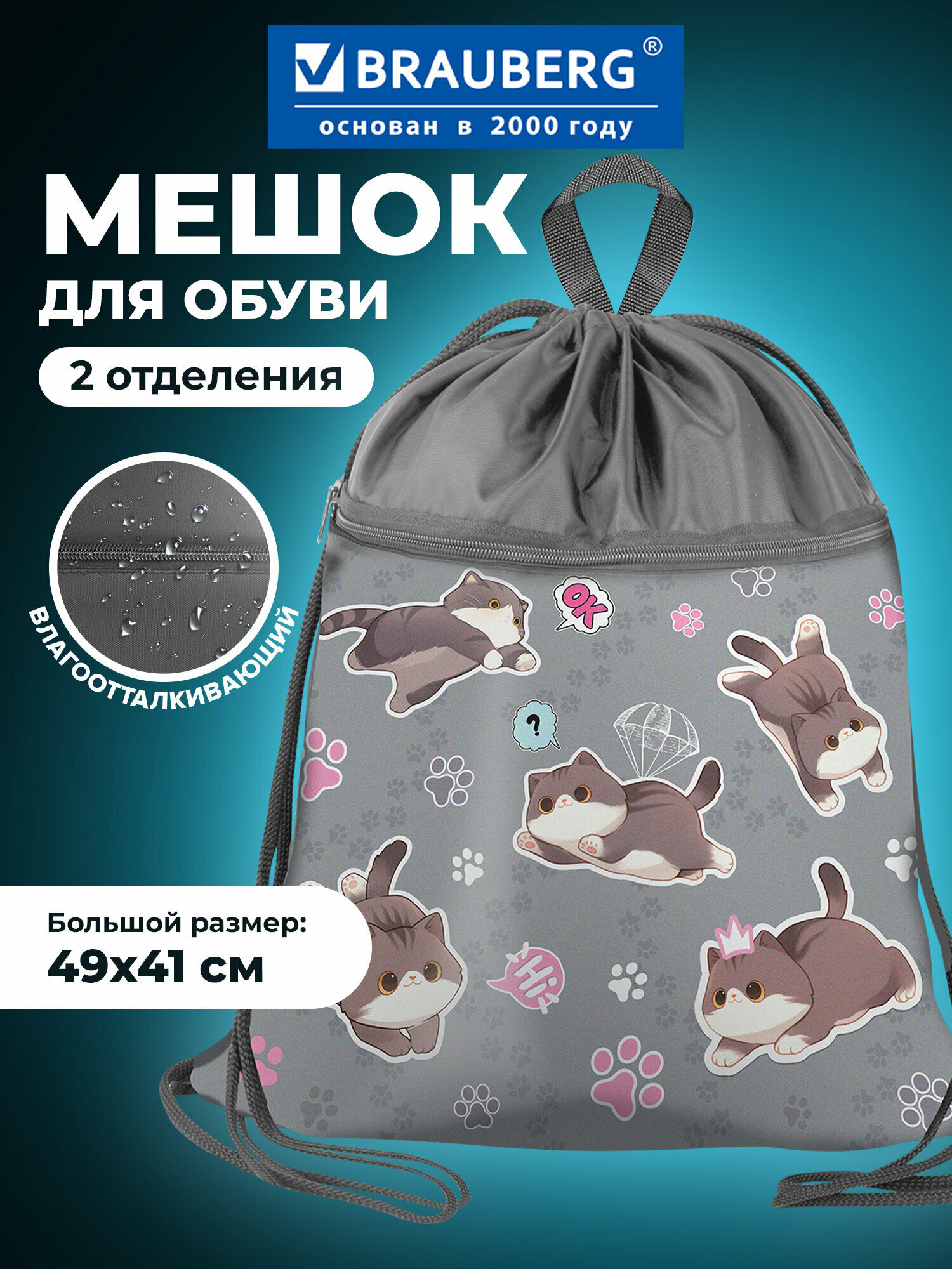 Мешок для обуви большой, сумка для сменки в школу, чехол детский плотный с ручкой, сетка, 49х41 см, Brauberg, 274637