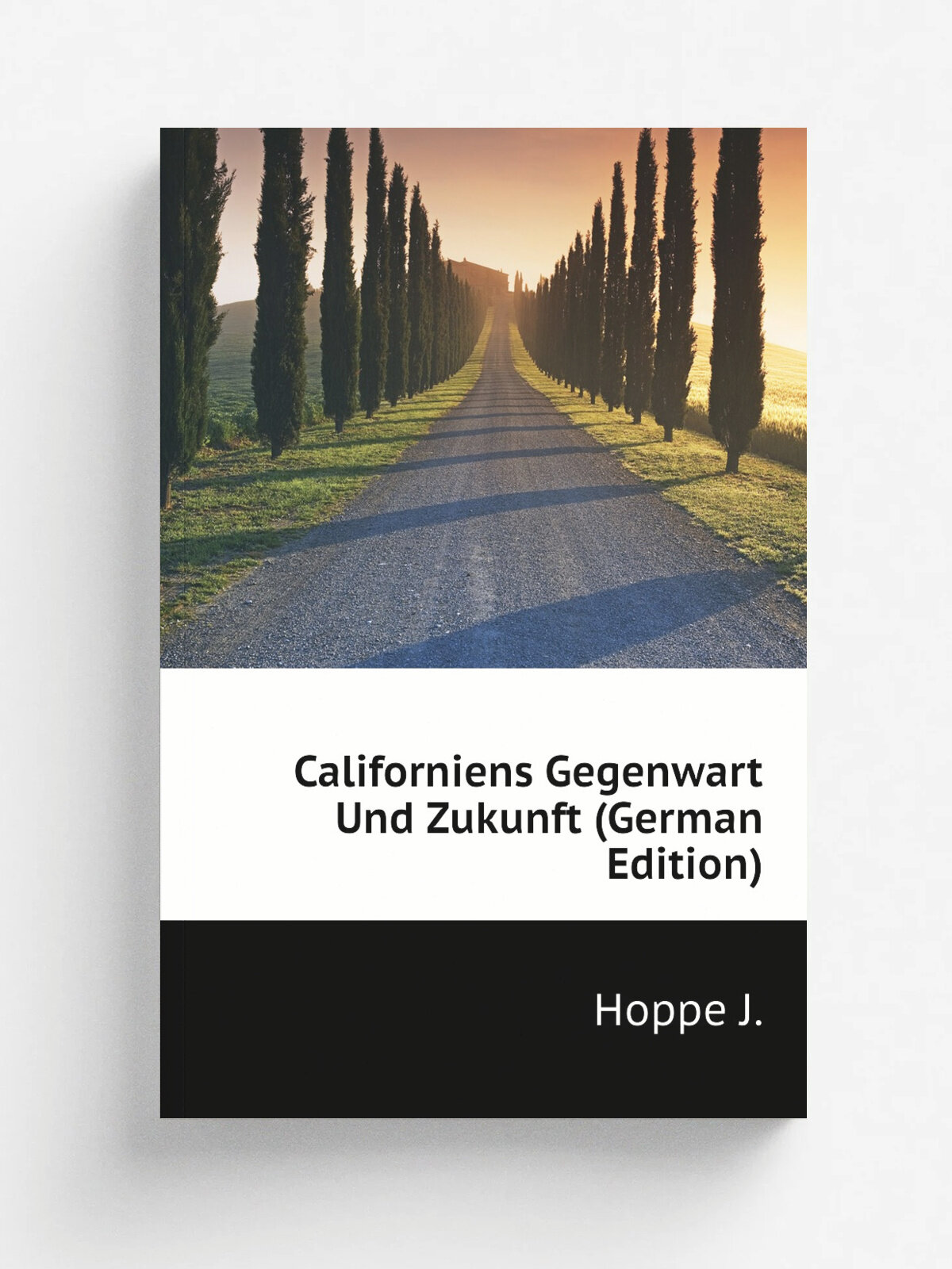 Californiens Gegenwart Und Zukunft (German Edition) | Hoppe J. | Репринт