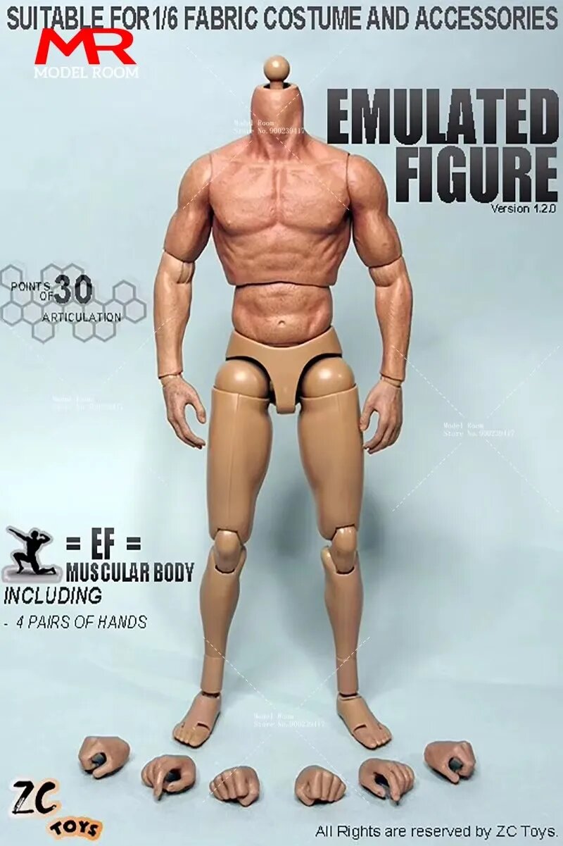 MR Model Room 1/6 Мускулизированное тело, S002