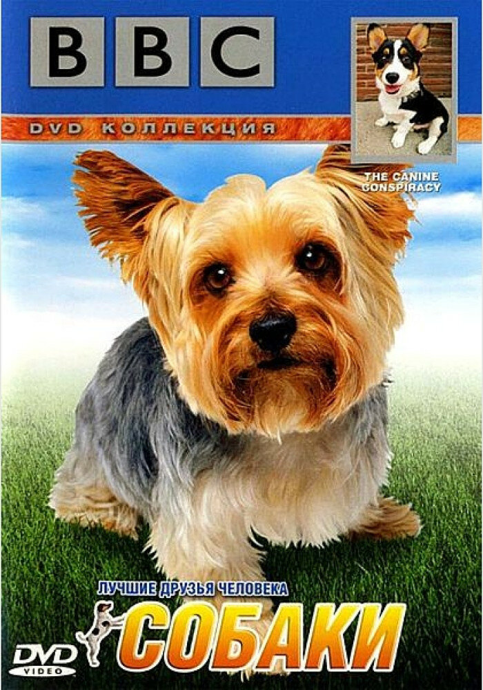 BBC: Собаки