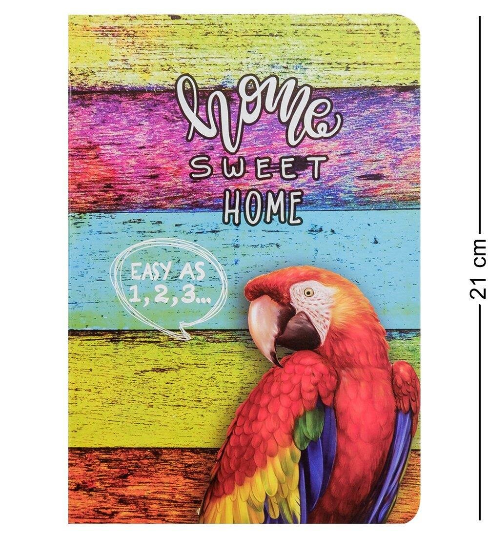 Блокнот бол. Радуга цвета (твердая обложка) A2115507 разностор, Бумага, картон