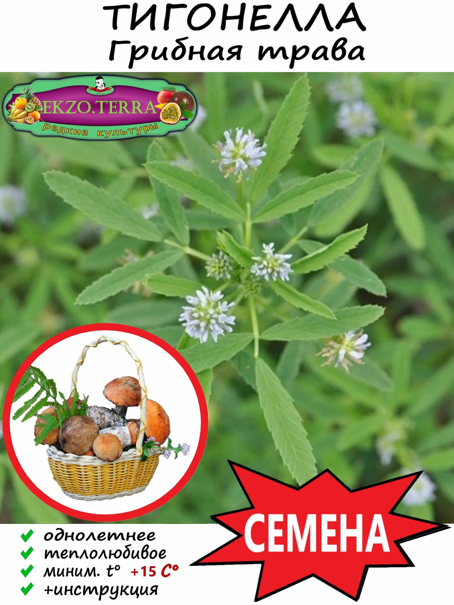 Семена Тригонелла, Грибная Трава 5 шт.