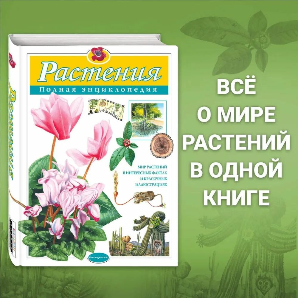 Растения. Полная энциклопедия Школьник Юлия Константиновна