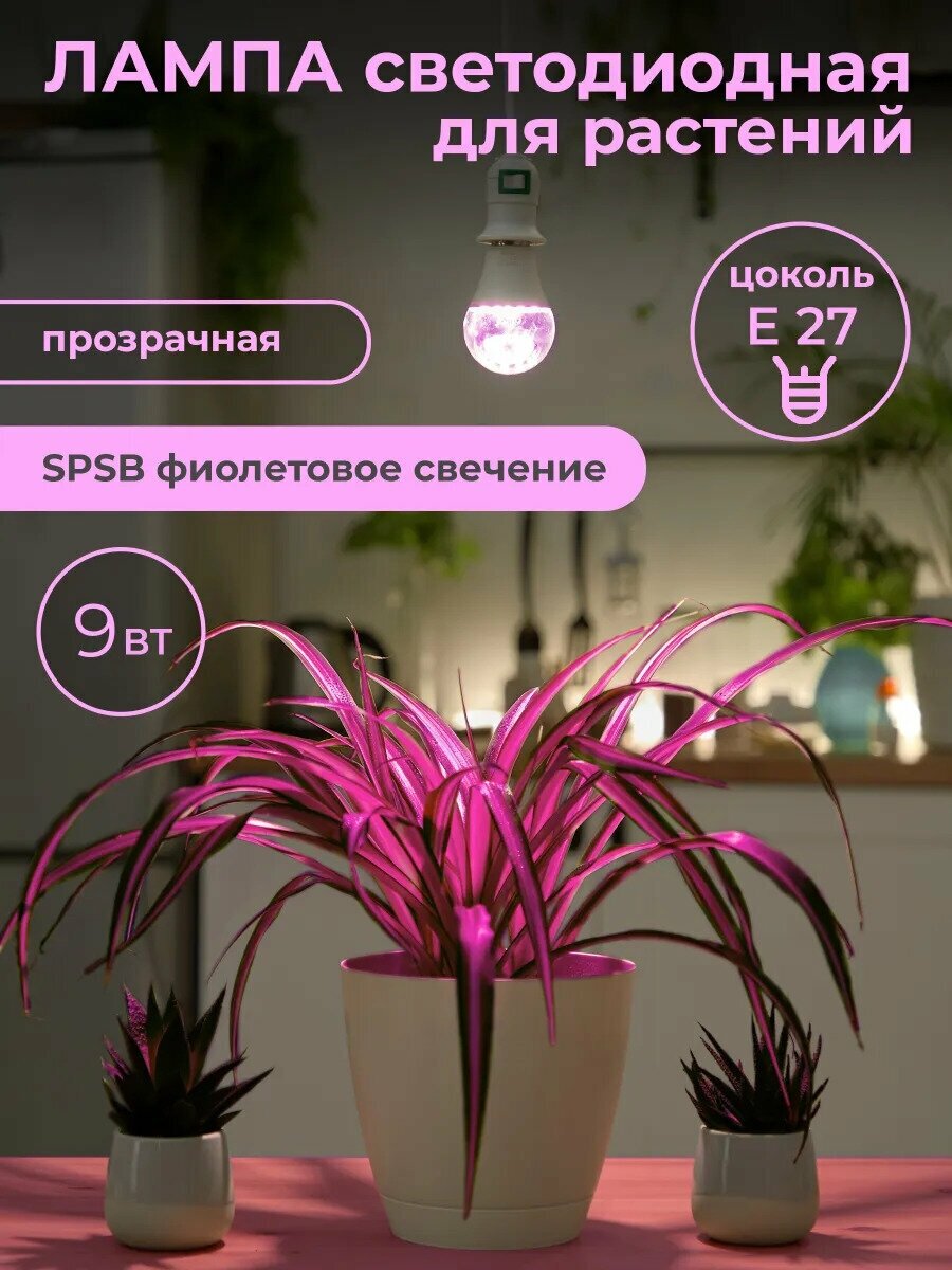 Фитолампа для растений светодиодная A60 9W E27 для рассады