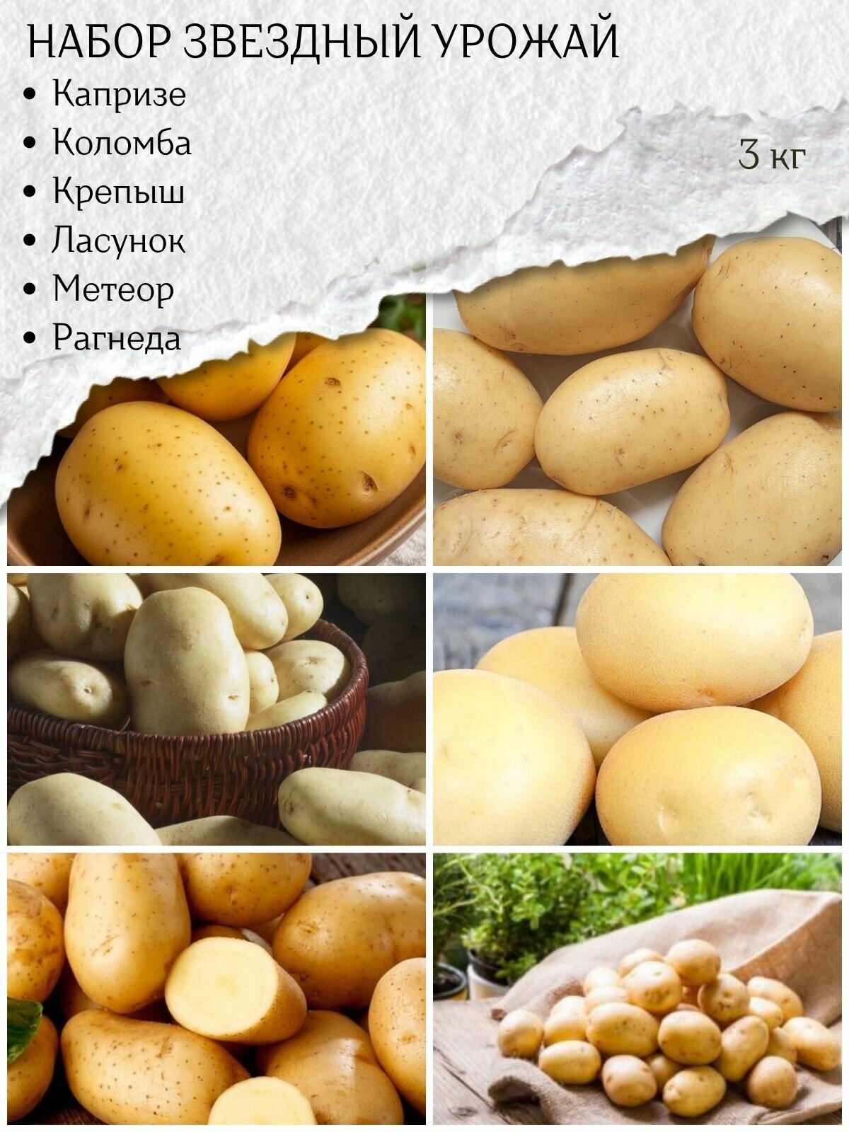Набор картофеля из 6 сортов "Звездный урожай" (белый)