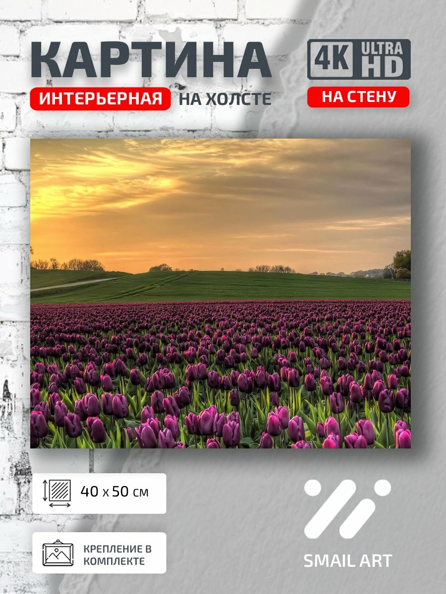 Картина на холсте интерьерная 40 на 50 на стену Закат Mood для студии атмосфера интерьер