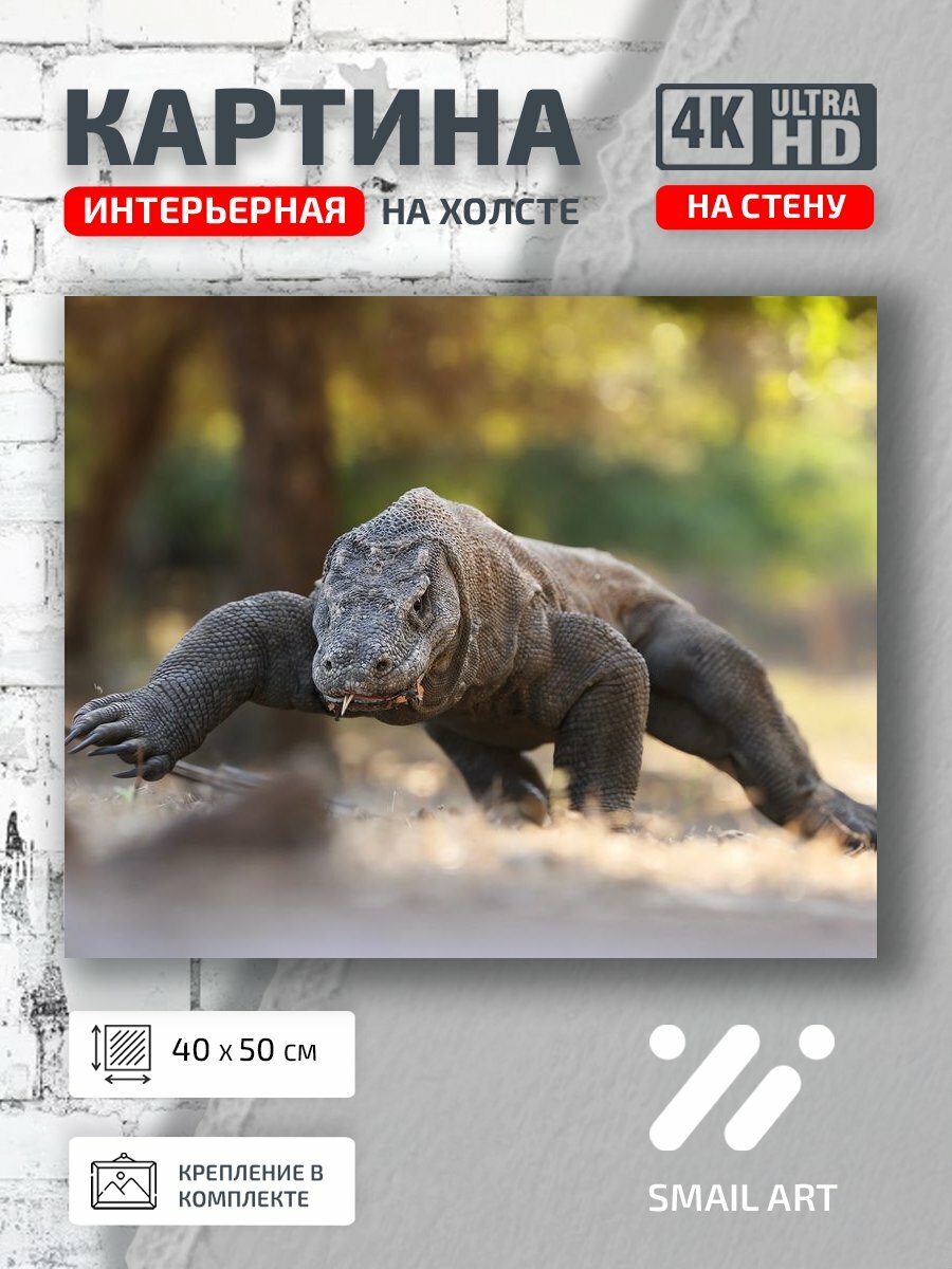 Картина на холсте интерьерная 40 на 50 на стену Лес Landscape для спальни пейзаж интерьер