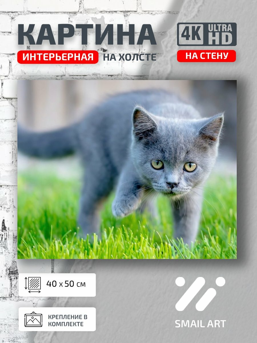 Картина на холсте интерьерная 40 на 50 на стену Трава Animal для спальни animal style декор