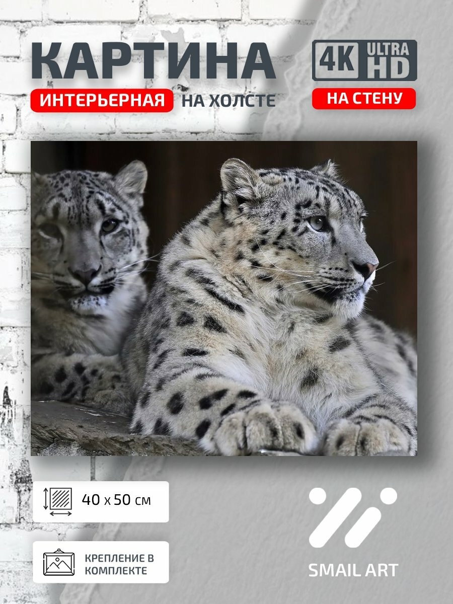 Картина на холсте интерьерная 40 на 50 на стену Леопард Mood для гостиной атмосфера декор