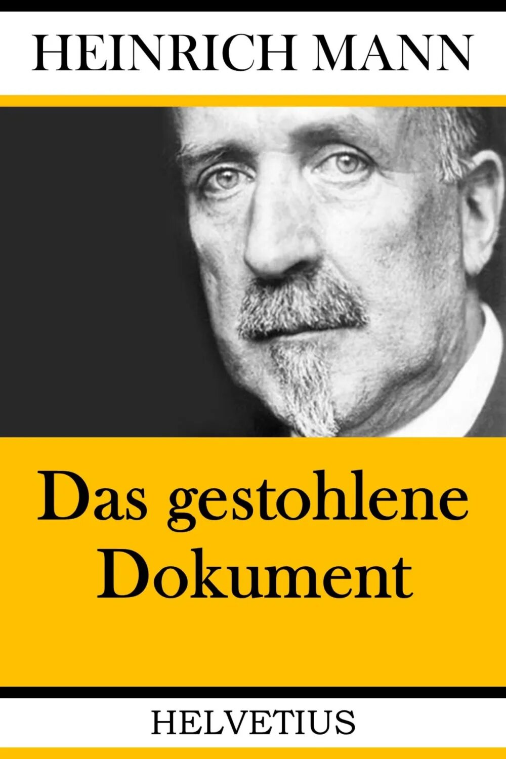 Das gestohlene Dokument [Цифровая книга]