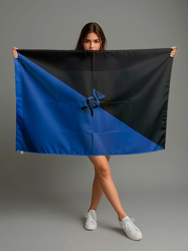 Флаг анархо-трансгуманизма, 70х105 см на шёлке для ручного древка