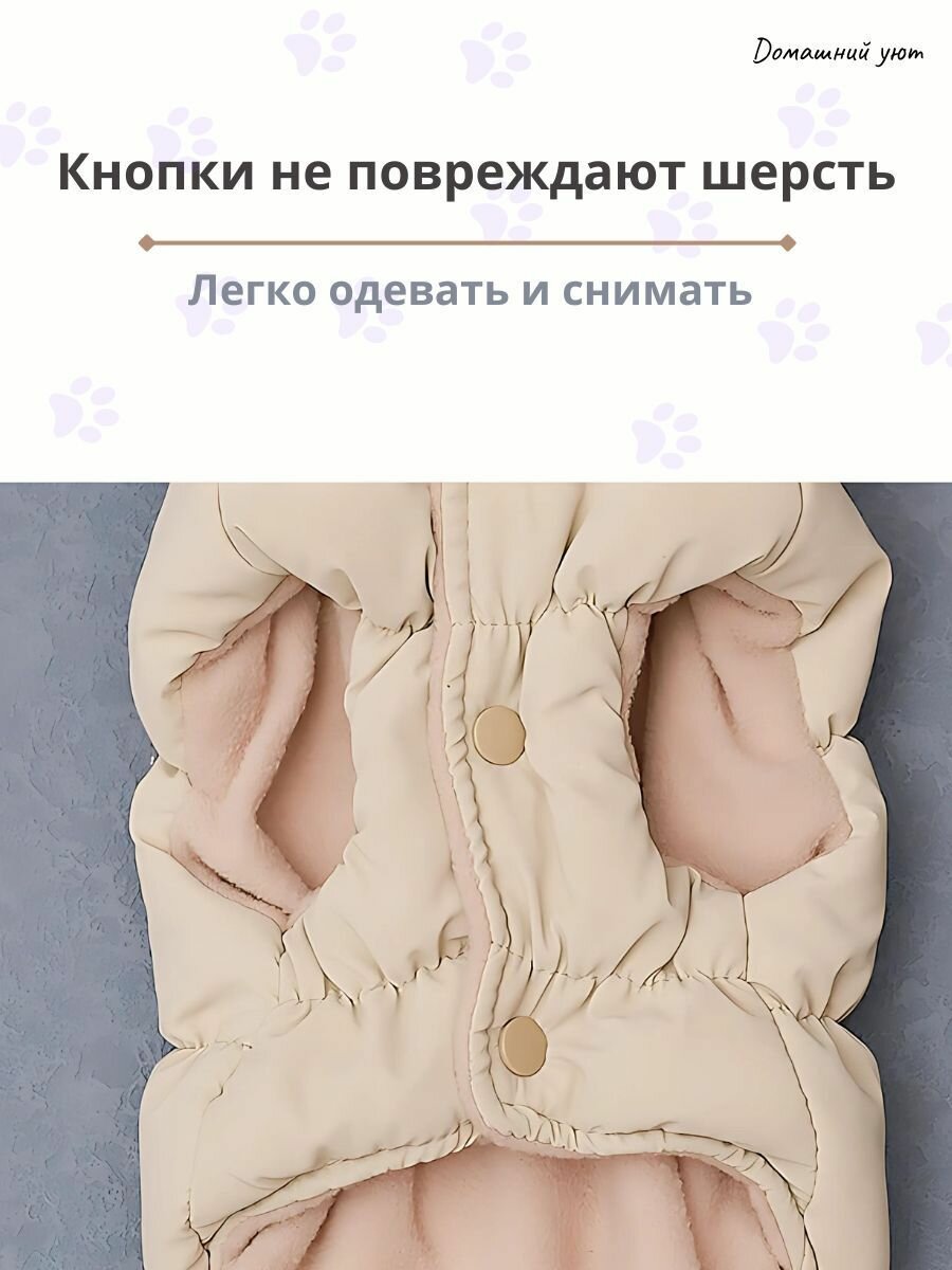 Одежда для животных — фото 1