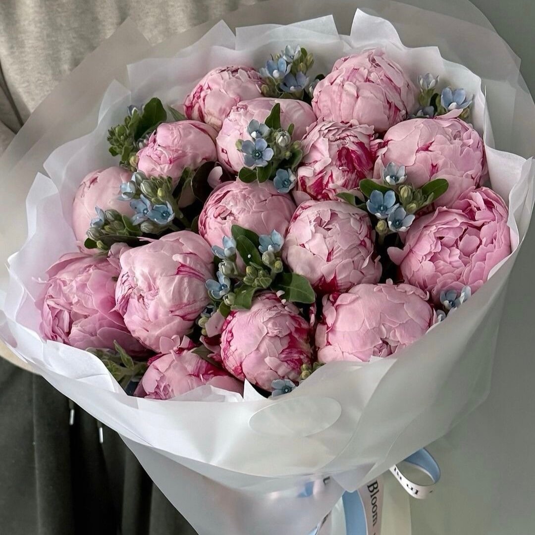 Букет из розовых пионов 15 шт с незабудками, красивый букет цветов, шикарный, премиум цветы, премиум букет