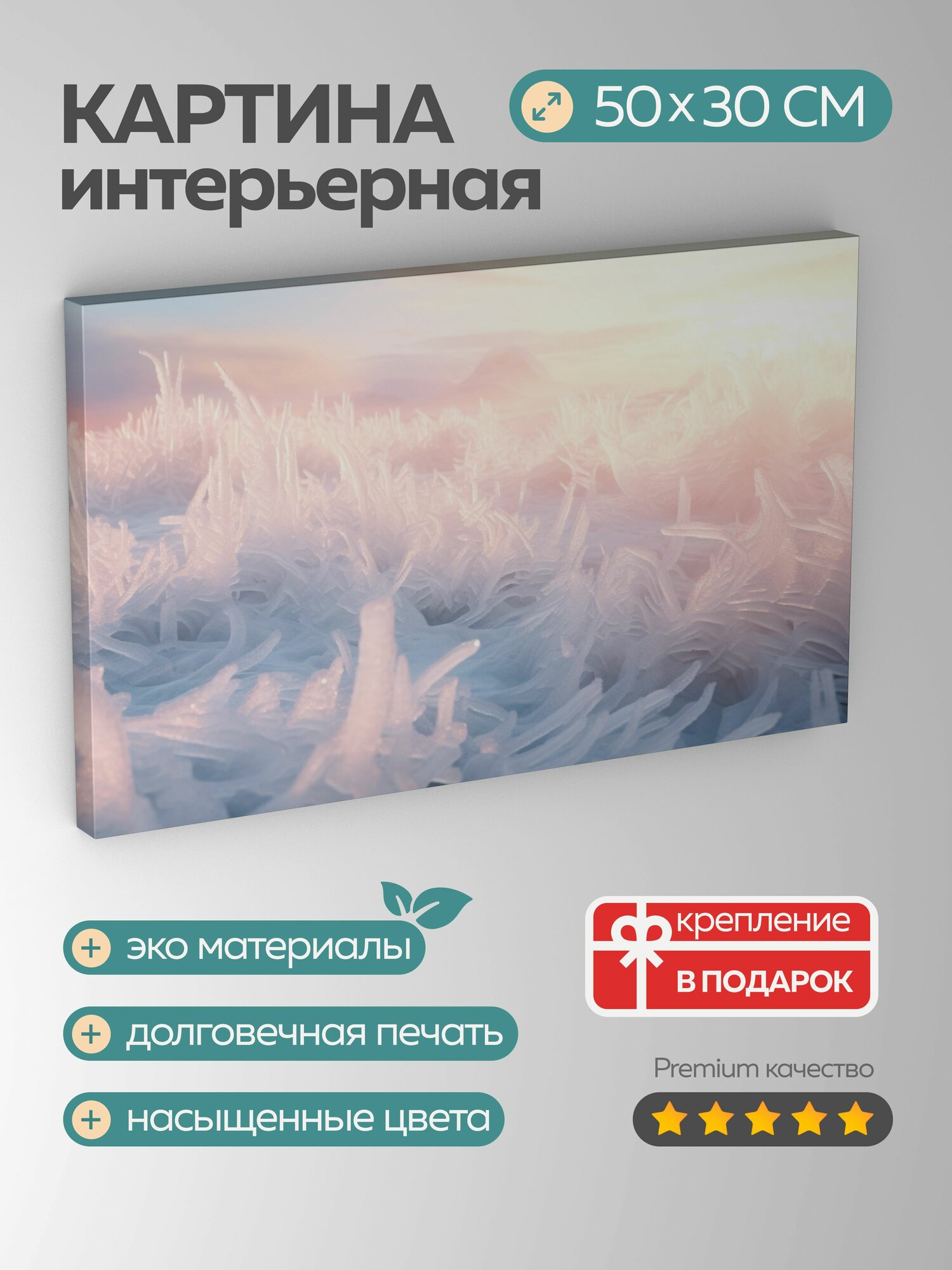 Картина на холсте интерьерная 50х30 см, замерзший пейзаж, иней, снег, рассеянный свет, ледяные образования, кристаллы