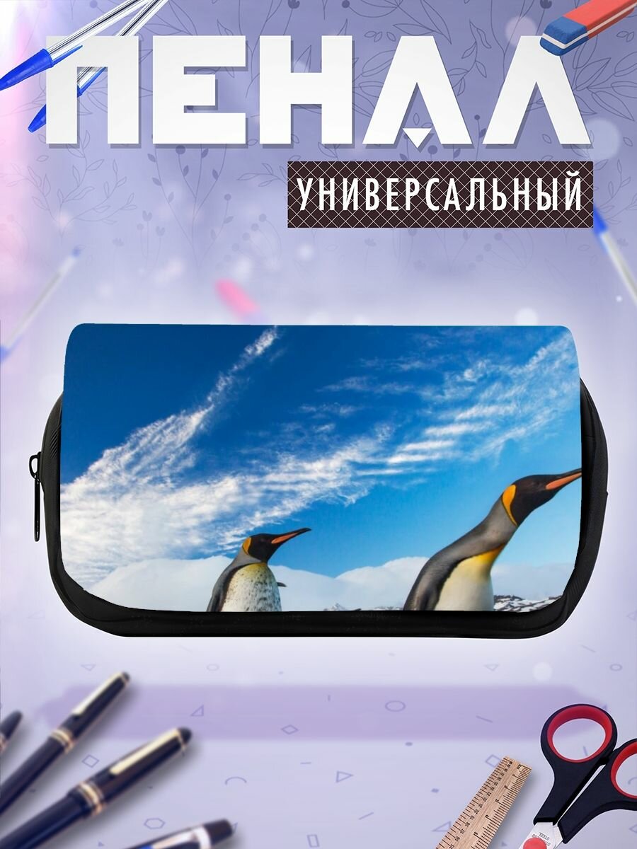 Пенал косметичка Антарктида король пингвинов