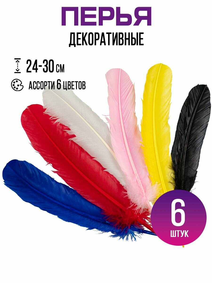 Перья декоративные 240-300 мм (ассорти 6 цветов) гусиные, 6 штук