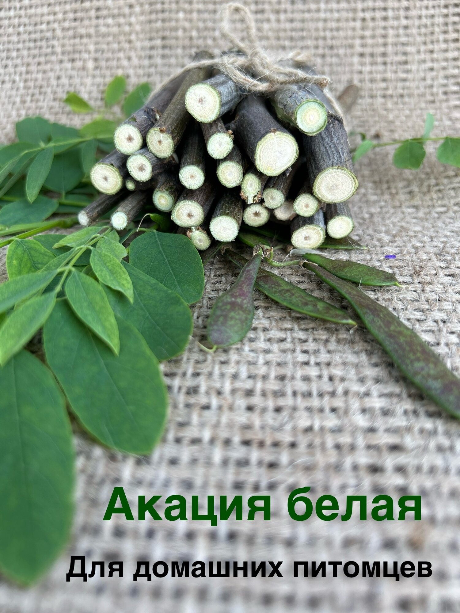 Веточки акации белой. Натуральные сухие веточки дерева Акации, лакомство для домашних питомцев. 100гр.