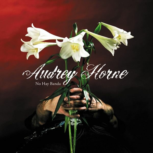 Audrey Horne. No Hay Banda (Promo, Norway, DogJob Records, DOG 003, 2005, Сardboard Sleeve) CD