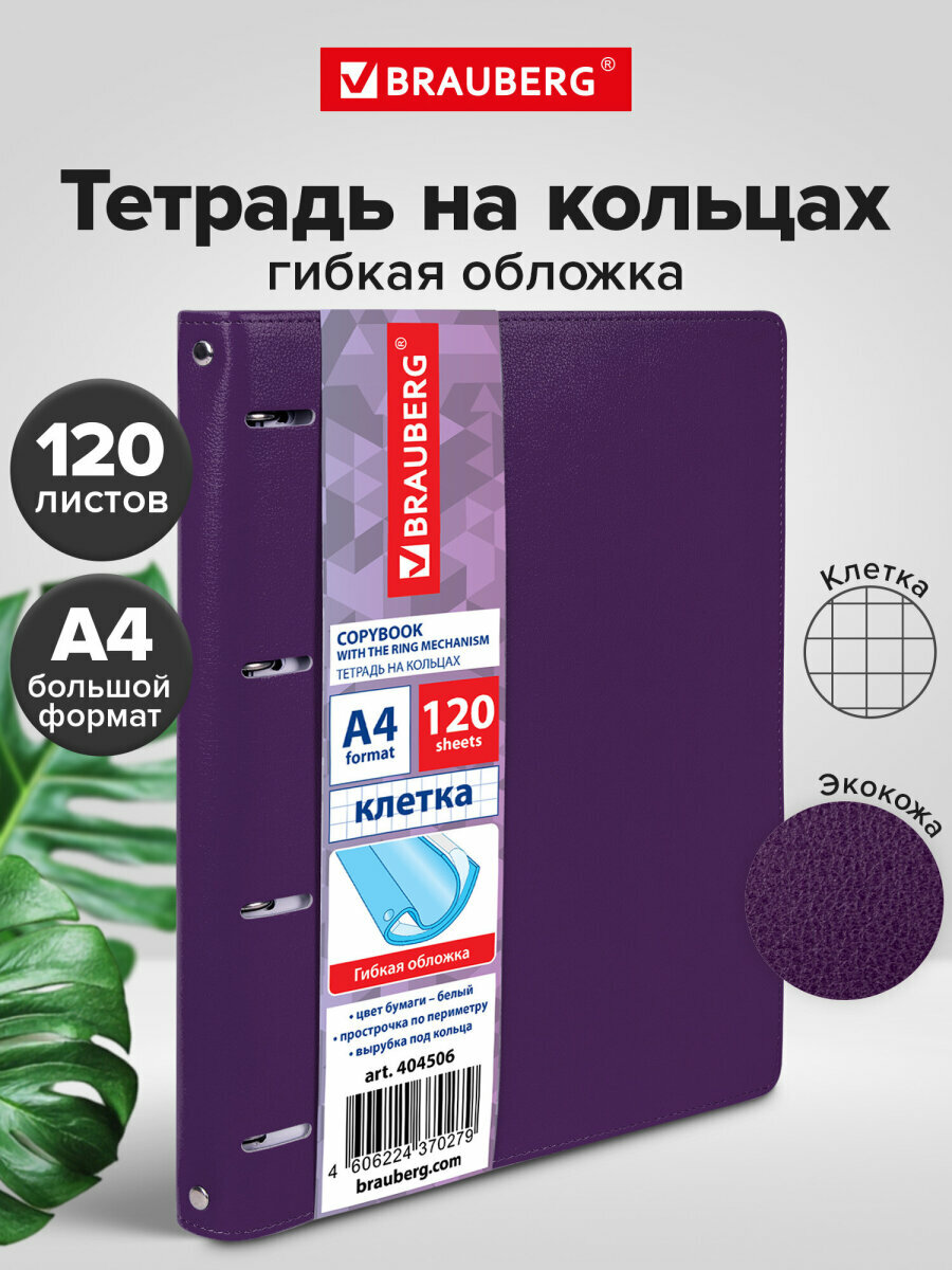 Тетрадь на кольцах со сменным блоком для учебы Большая, А4 (240х310 мм), 120 листов под кожу, клетка, Brauberg Joy, фиолетовый, 404506